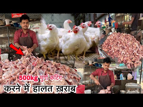 आज 500kg मुर्गा बेचने में  में हालत ख़राब !! Chicken Business Chicken Shop Chicken Cutting Skills !!