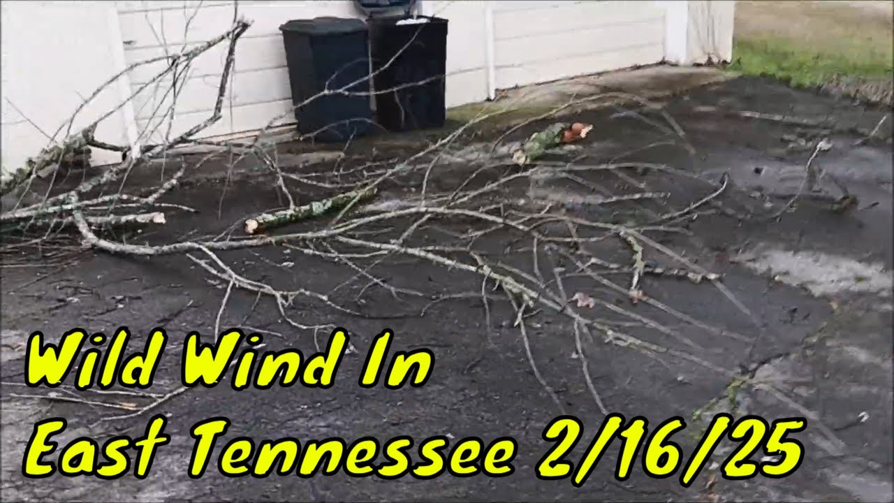 Crazy Wind In East Tennessee, Branches Down Everywhere 2/16/2025 - YouTube