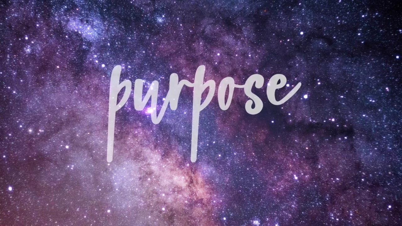 What Is Purpose YouTube What Is Purpose YouTube
