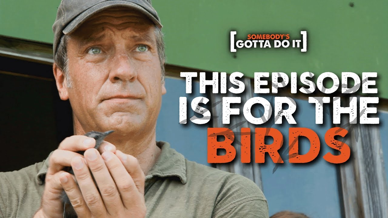 Mike Rowe is SHOCKED by This BIRD EXPERT | Somebody's Gotta Do It - YouTube