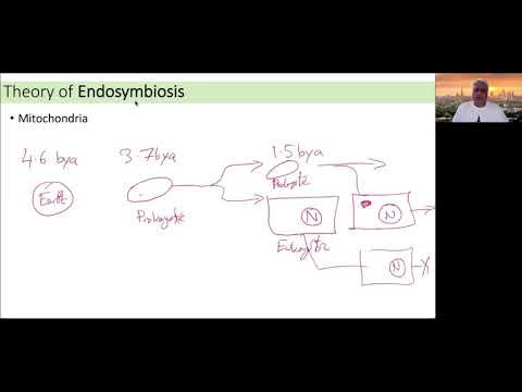 Genetics L5 Extranuclear Inheritance - YouTube