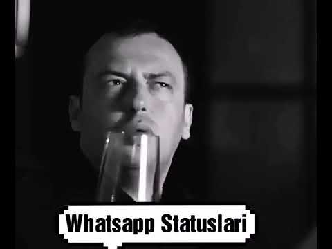 Whachapp