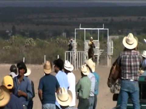 carreras de caballos en san ignacio nieves zacatecas 2012 - YouTube