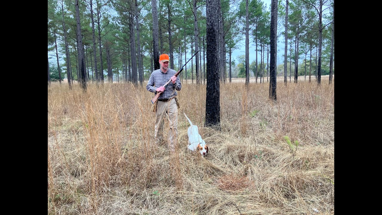 12 27 24 Father:Son Quail Hunt - YouTube