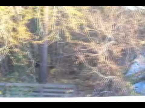 Moore's Ford Bridge - YouTube