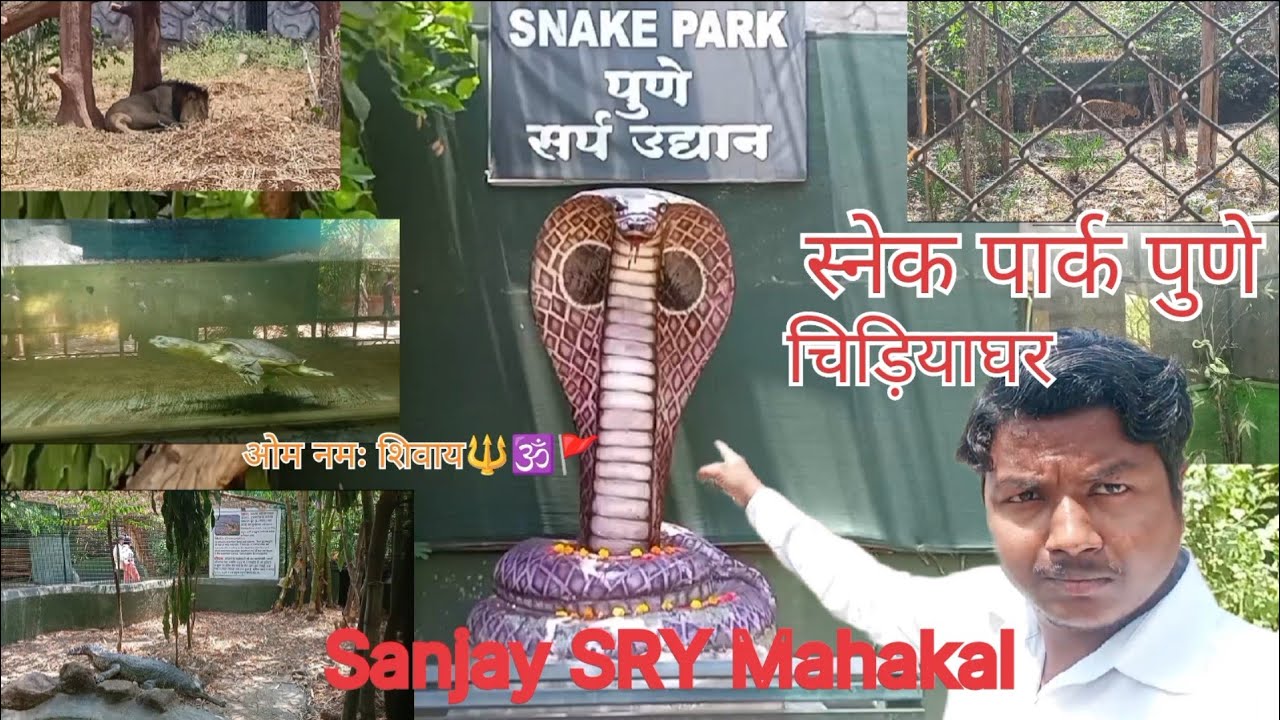 #स्नेक पार्क पुणे #चिड़ियाघर Snake #Park Pune Zoo🔱🐆🦁🦥🐦🐯🐱🐺🫎🐲🐍🐊🐢🦎🐈‍⬛🐂🦬🐘🐒🐆 ...