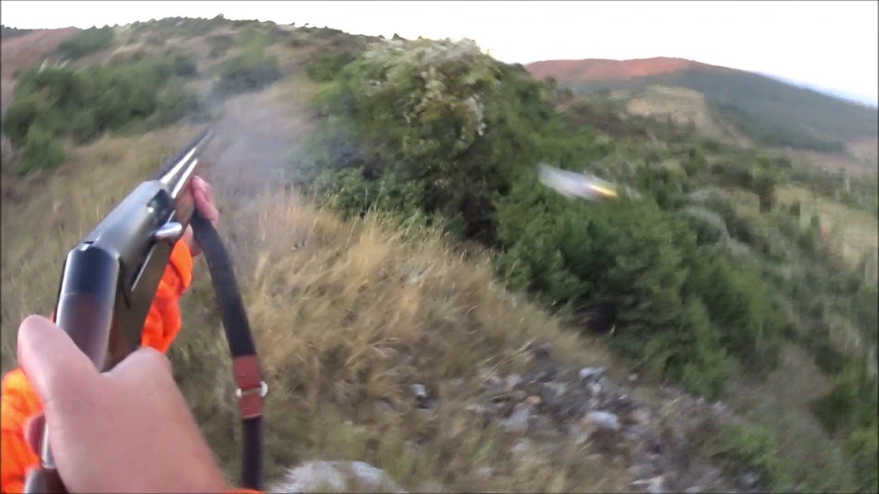 ΚΥΝΗΓΙ ΛΑΓΟΥ DABI 06 10 2019 ΤΟΥΦΕΚΙΑ ΣΤΟ ΞΕΦΩΛΙΑΣΜΑ - YouTube