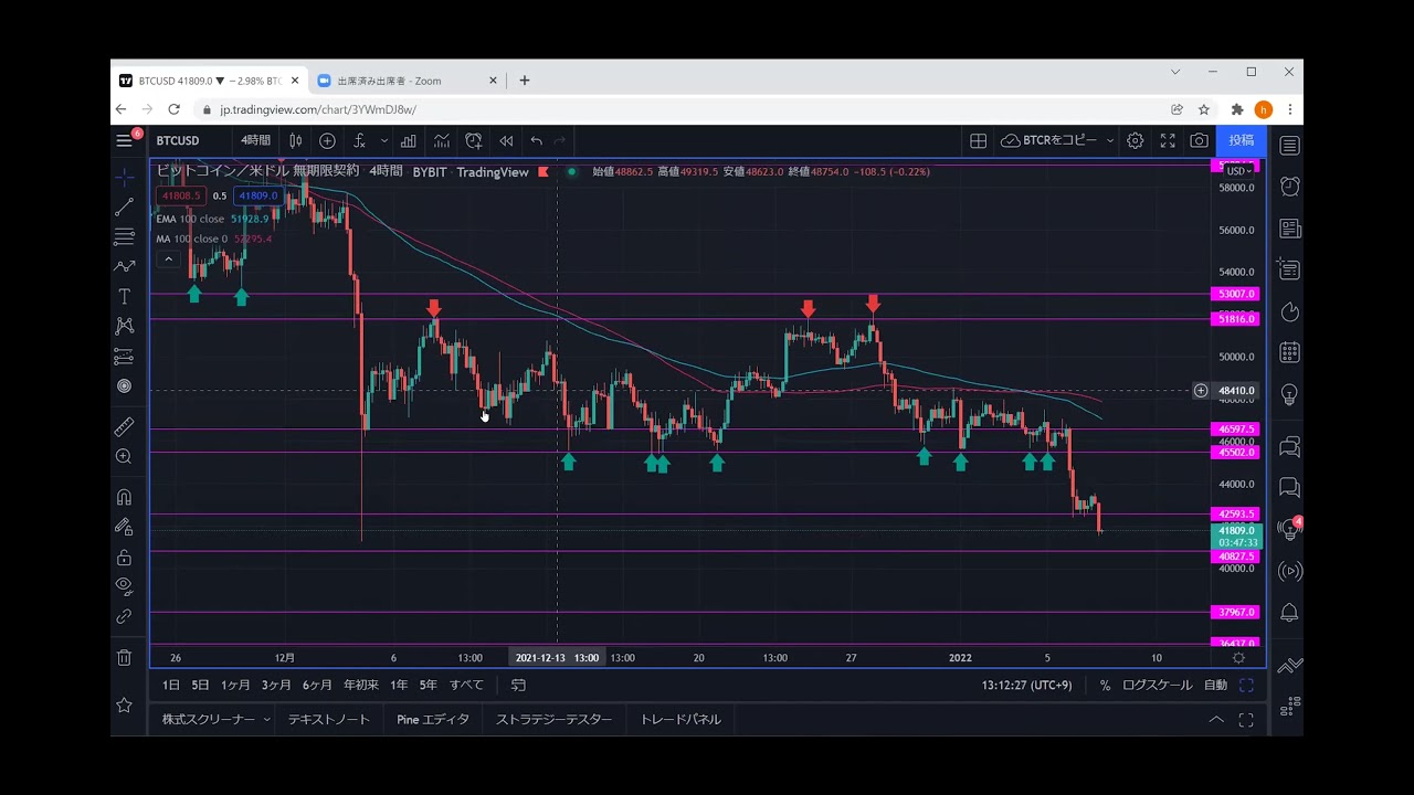 ビットコインFX（BTCFX）オンラインセミナー動画（1月7日分） : FXの天底を捉える