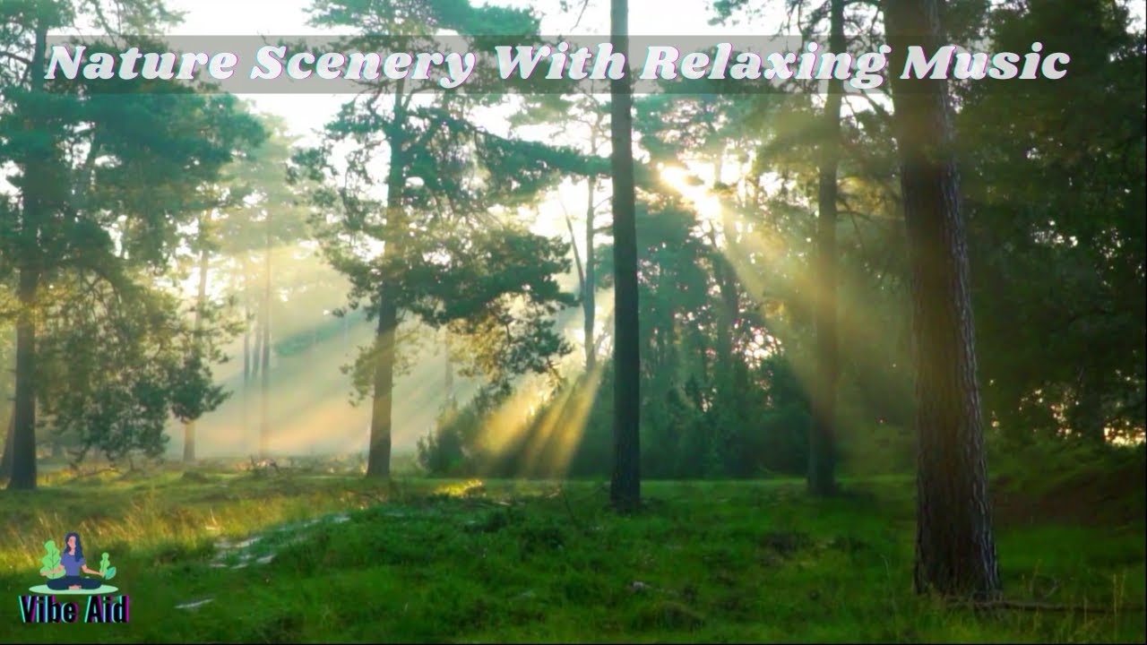 Relaxing Music For Stress Relief with Nature | Nature Music For ...