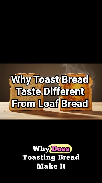 Why Toast Bread Taste Different From Loaf - YouTube