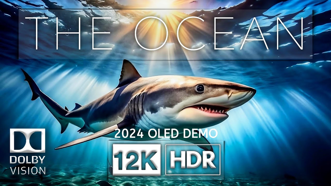 2024 OLED DEMO | The Ocean 12K HDR 60fps Dolby Vision - YouTube