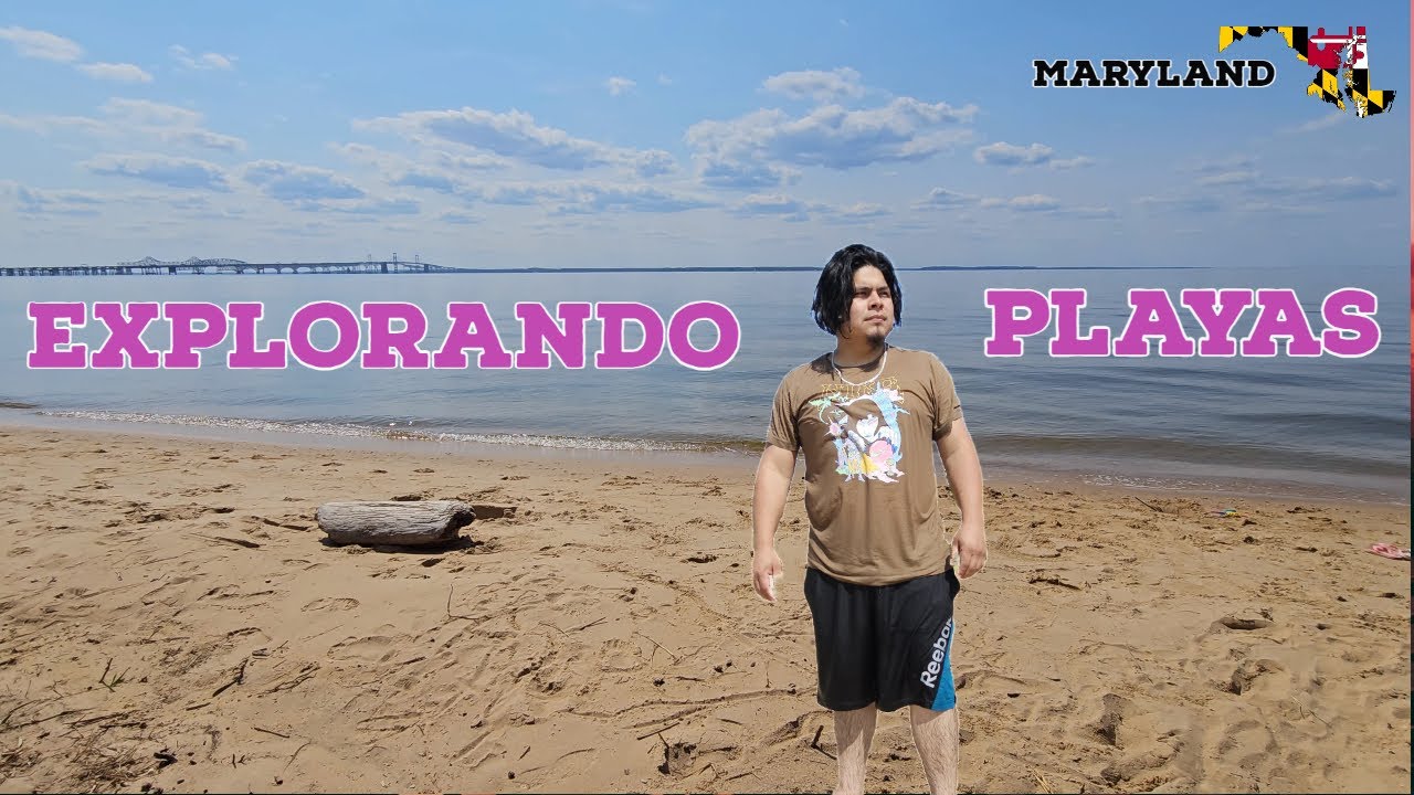Explorando las maravillas de las playas de Maryland ⛱️ Terrapin Nature ...