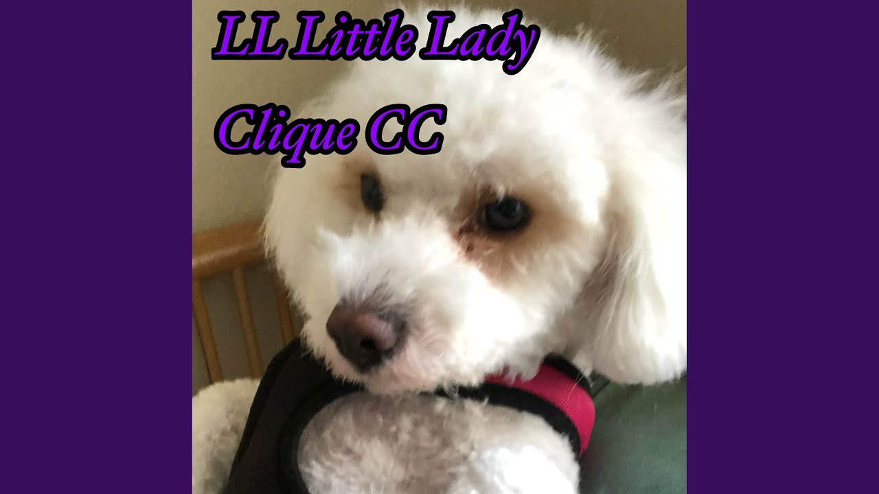 LL Little Lady Clique CC - YouTube