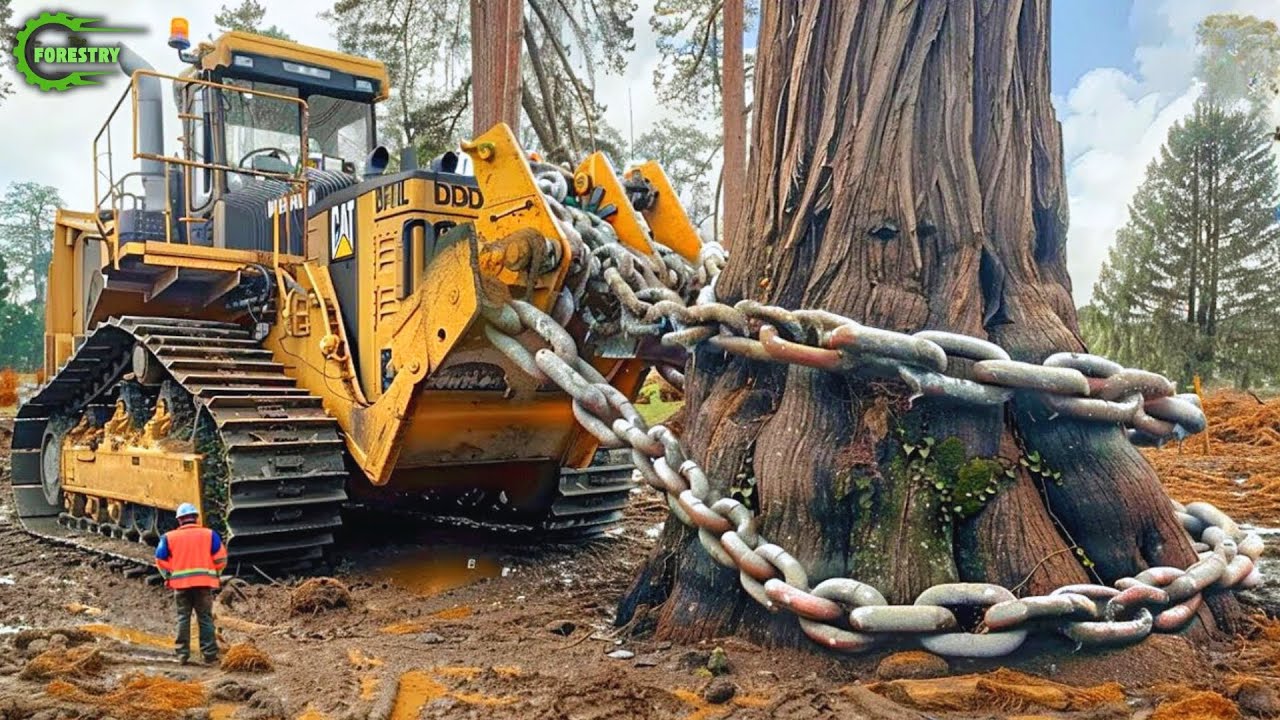 Extreme Dangerous Fastest Big Chainsaw Cutting Tree Machines | Monster ...