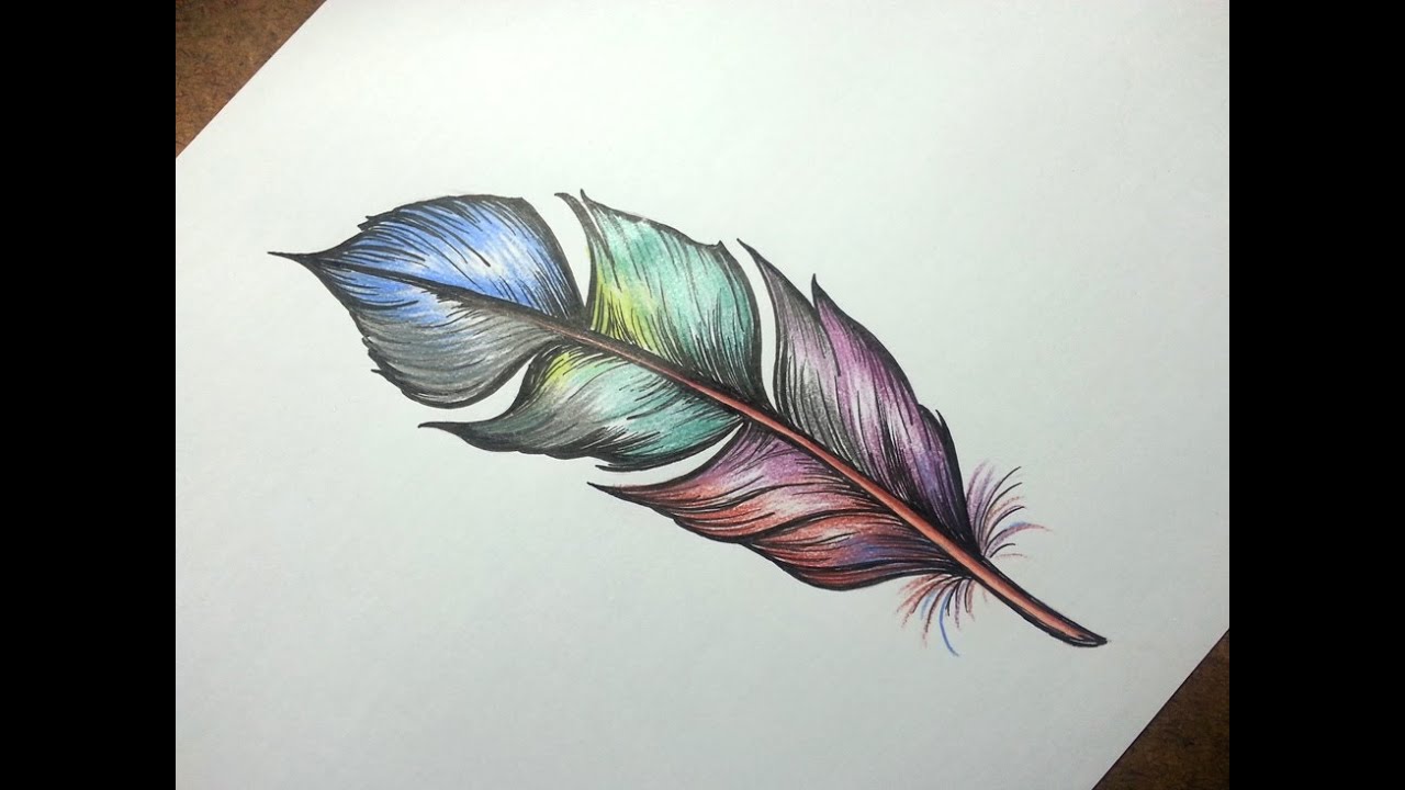 Como Desenhar Penas Passo A Passo