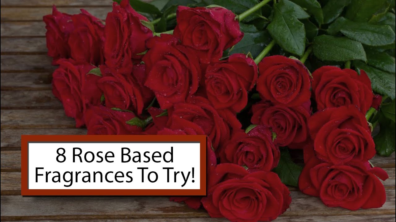 Eight Rose Based Fragrances You Might Like - YouTube