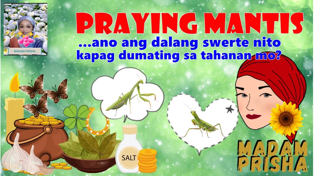 PRAYING MANTIS ANO ANG DALANG SWERTE NITO - YouTube