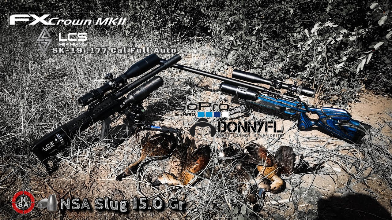 LCS SK-19 FX CROWN MKII | Nyanggong Burung Belibis Pakai Dua PCP - YouTube