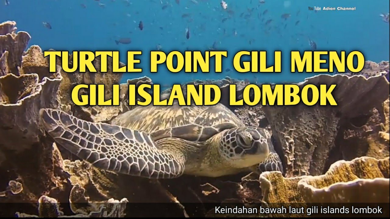 Turtle Point Gili Meno Lombok - YouTube
