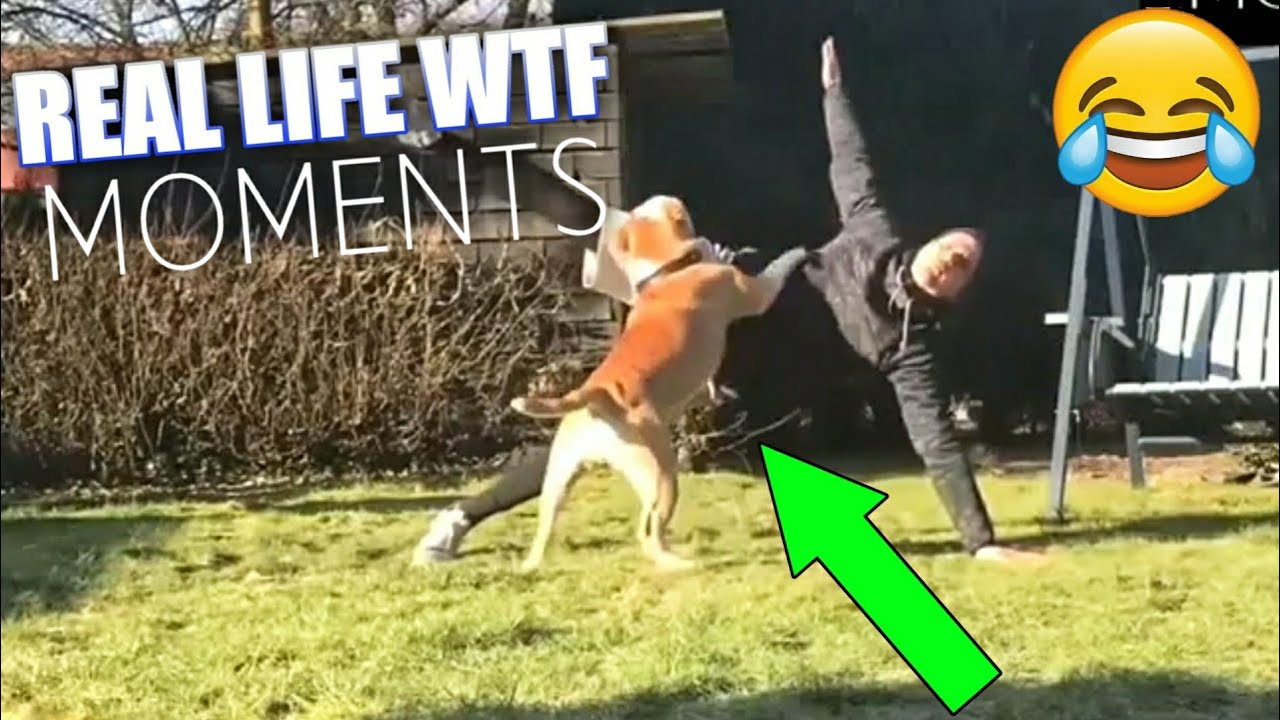 Best Fails and Funny Moments Compilation - Real Life WTF Moments ...