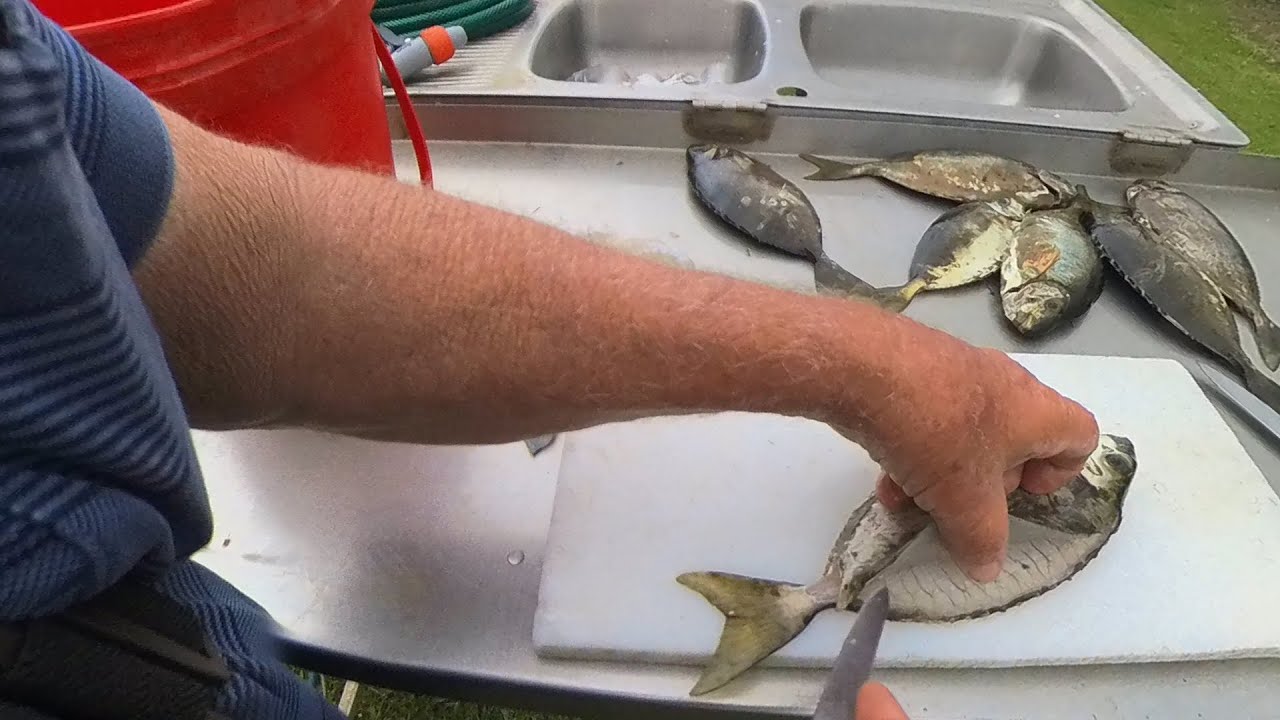 CLEAN AND COOK SO CALLED TRASH FISH happy moments - YouTube
