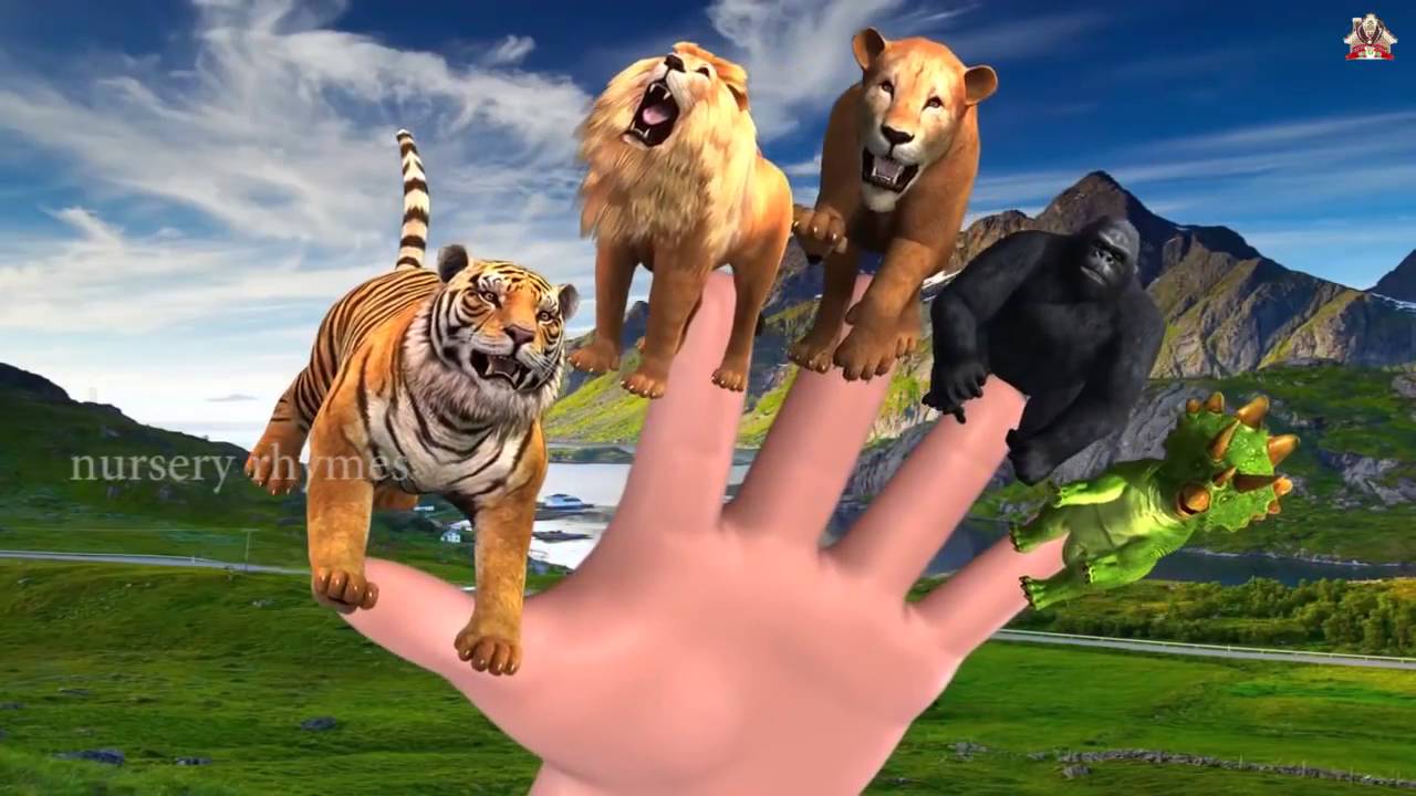 Finger Family || TIGER,CUB,LION version || Nursery Rhymes and Baby ...