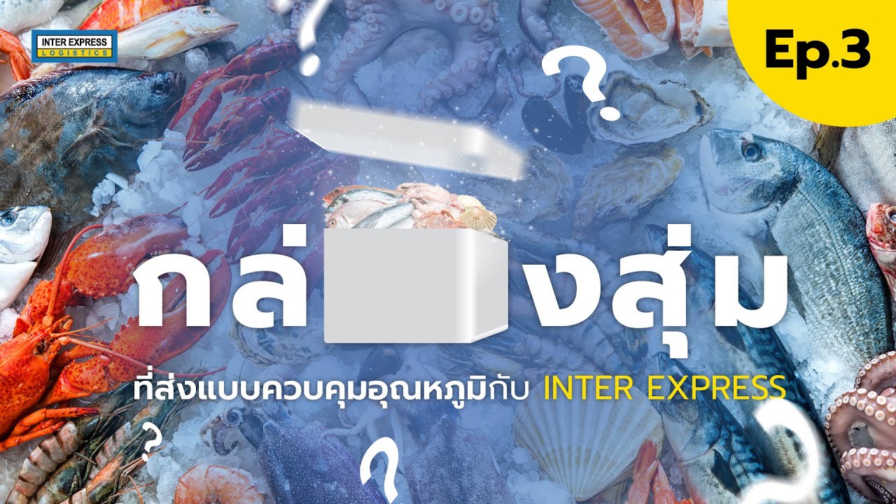 เปิดกล่องสุ่มอาหารทะเล ในราคา 999 บาท จะคุ้มไหม ไปดูกันเลย ? - GO INTER EP.3 - YouTube