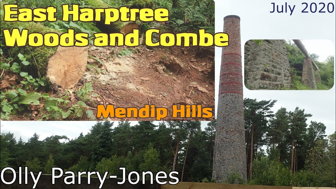 East Harptree Woods and Combe - YouTube