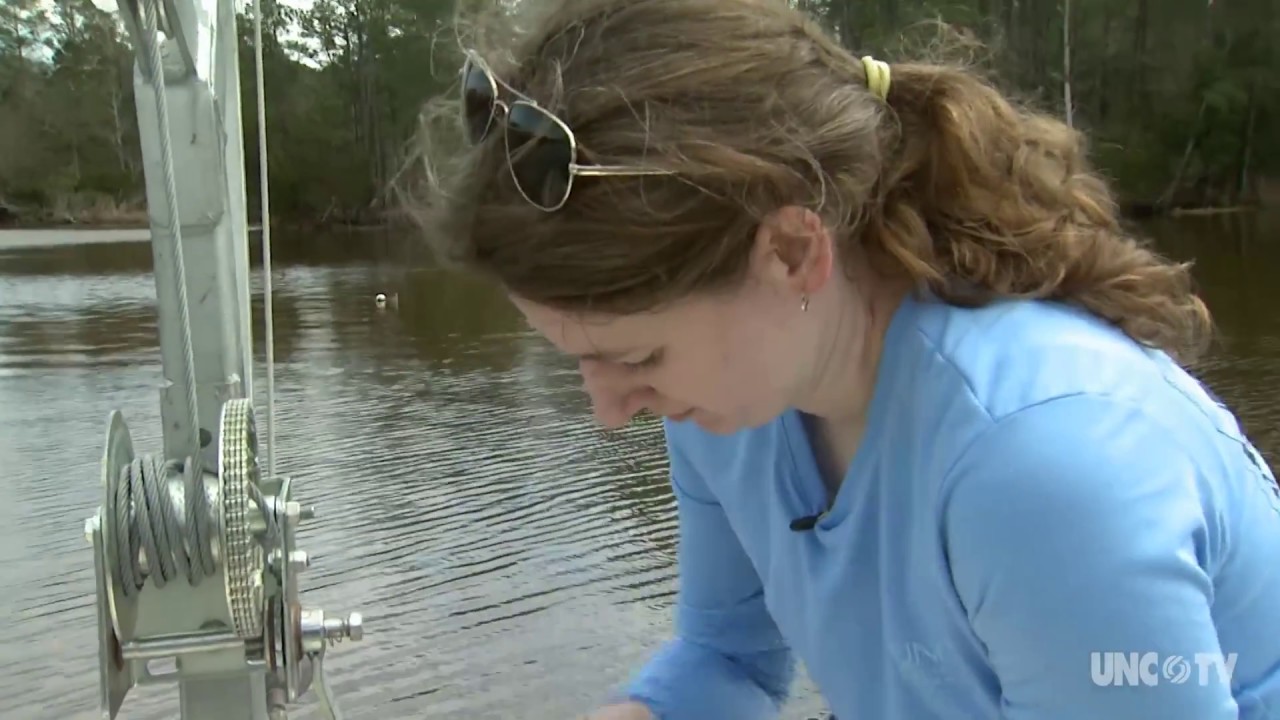 How Wilson Bay was saved from sewage pollution | Sci NC - YouTube