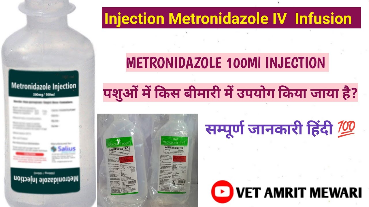 Injection Metronidazole uses in hindi | मेट्रोनीडाजोल का पशुओं में ...