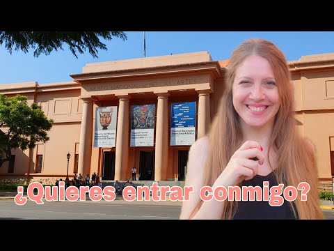Como es el Museo Nacional de Bellas Artes MNBA en Argentina