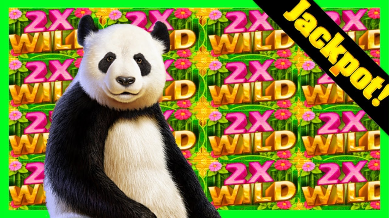 I Hit An AMAZING JACKPOT HAAND PAY On THIS Slot Machine... Why Am I So ...