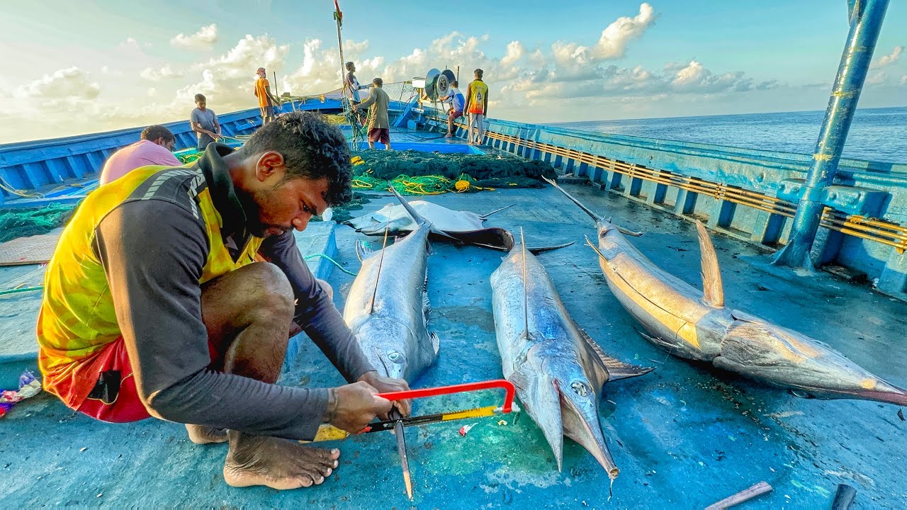 OMG! Biggest Marlin Caught In The Deep Sea On The Fourth Day | Day-04 ...