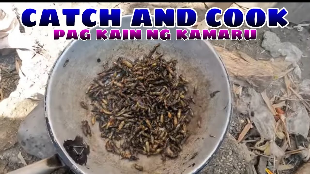 EP,878. catch and cook pag kain ng kamaru - YouTube
