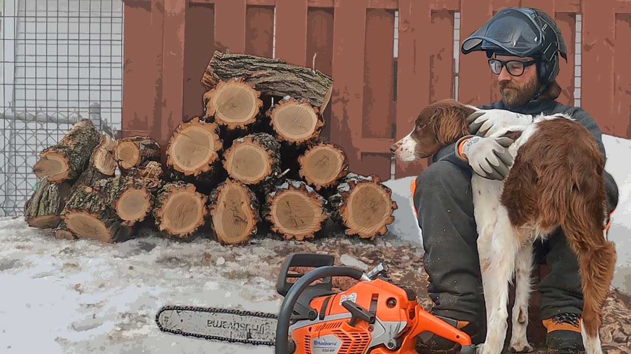 Cutting Oak Logs with George - YouTube