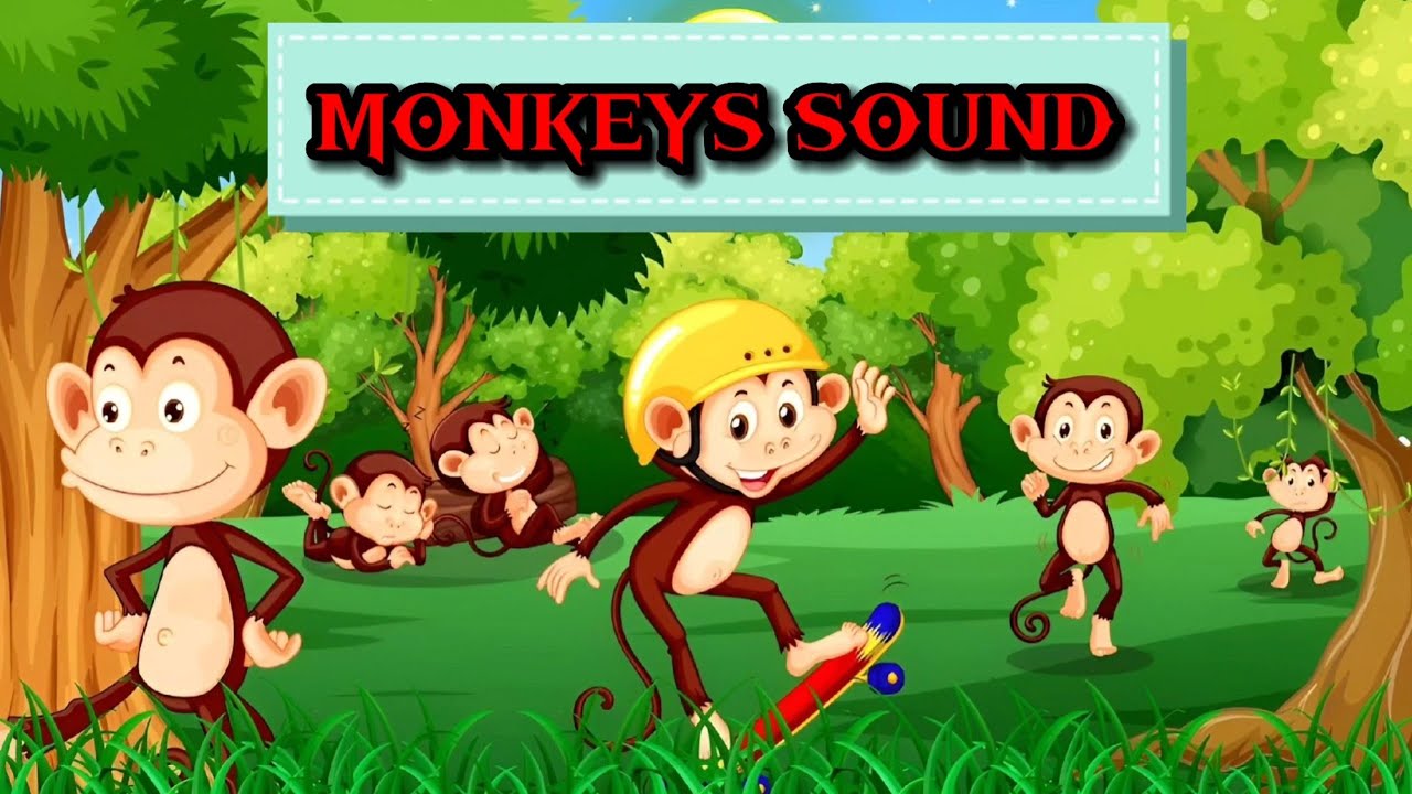 Amazing 4K Monkey Video - Listen to the Wild Monkey Sounds🐒 #aniamtion ...
