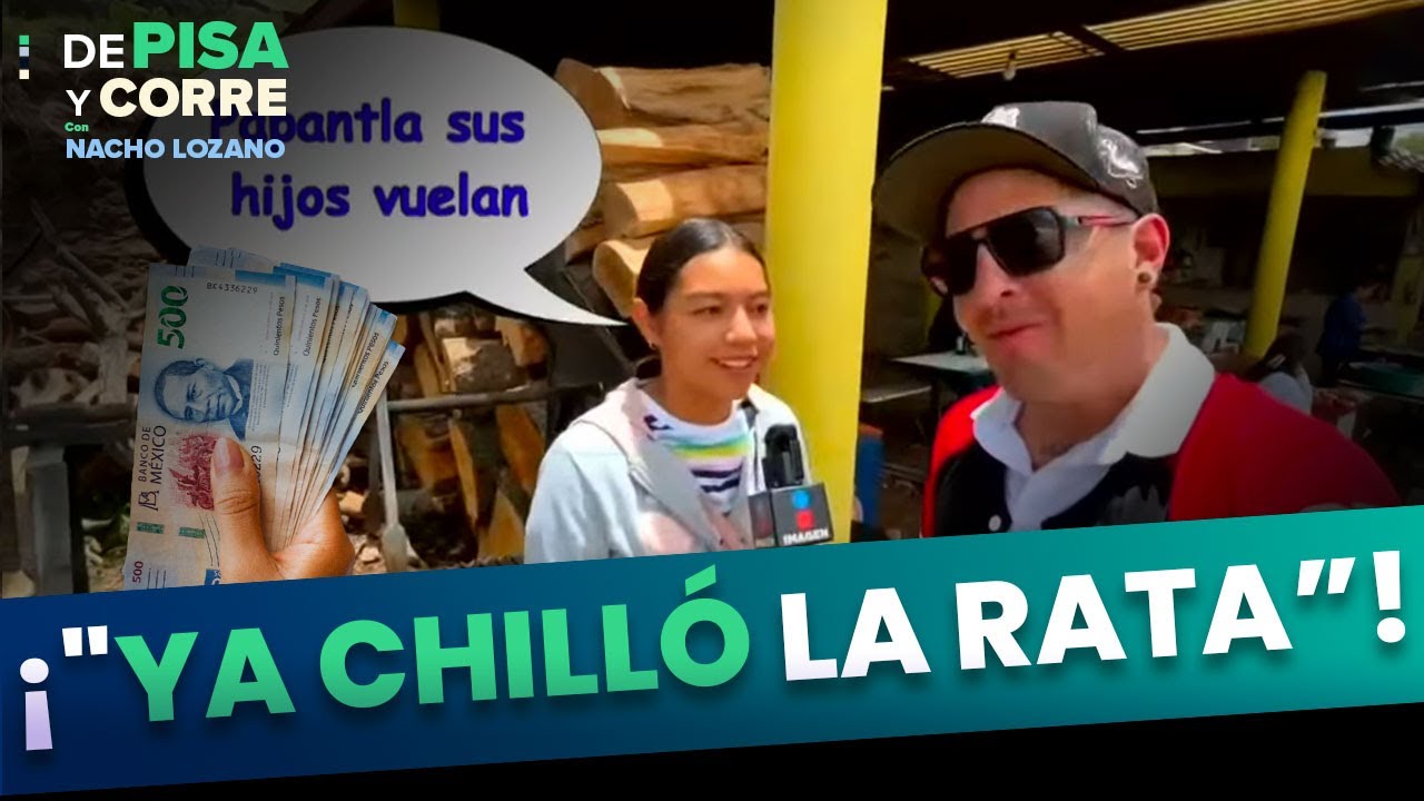 ¡"Ya chilló la rata"! Frases mexicanas que extranjeros no entenderían ...