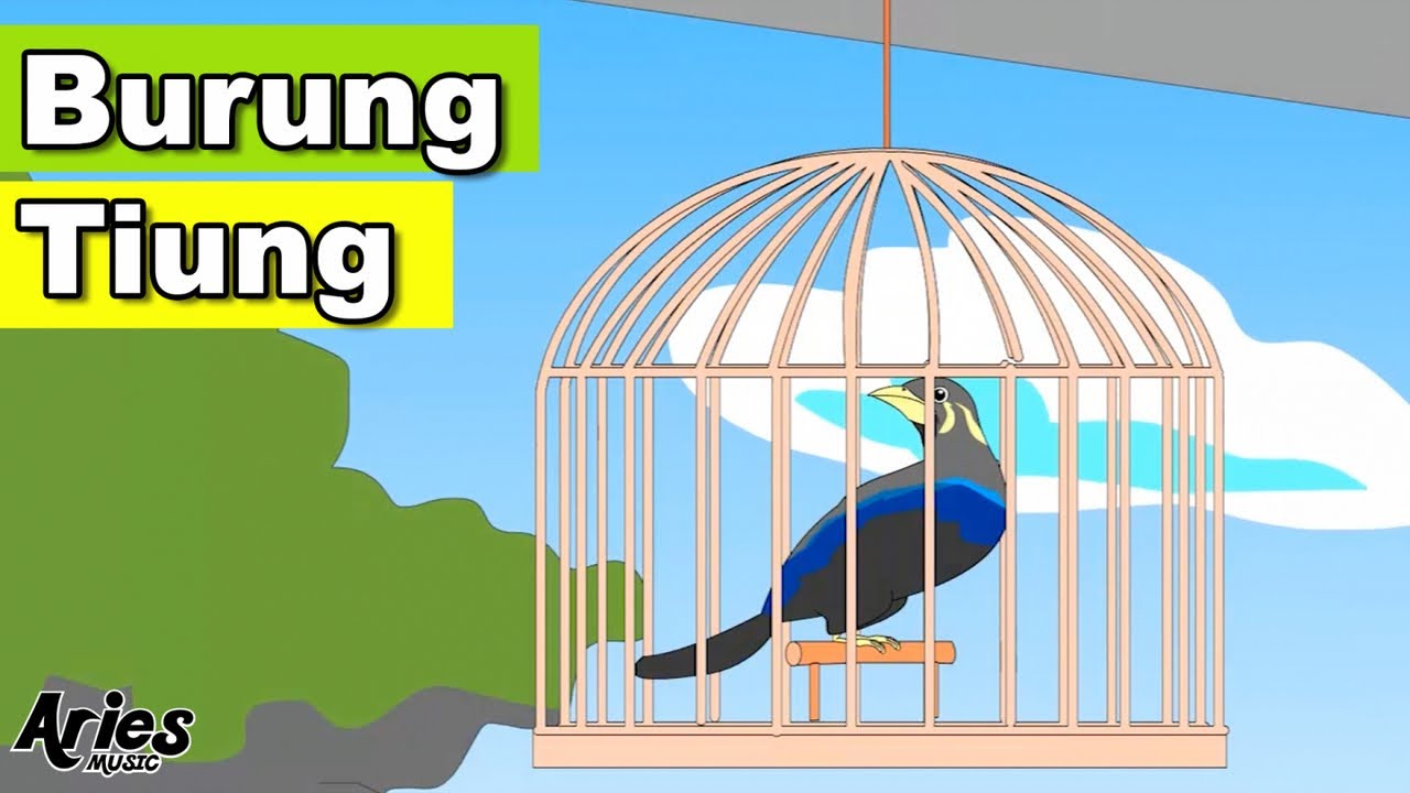 Alif & Mimi - Burung Tiung [Animasi 2D] - YouTube