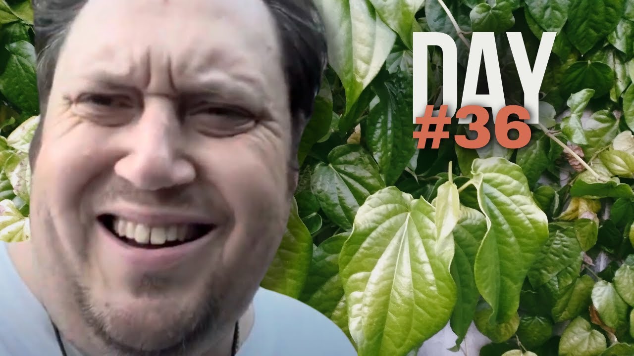 Easy walk Thursday workout 37. Easy walk wasn’t so easy. - YouTube