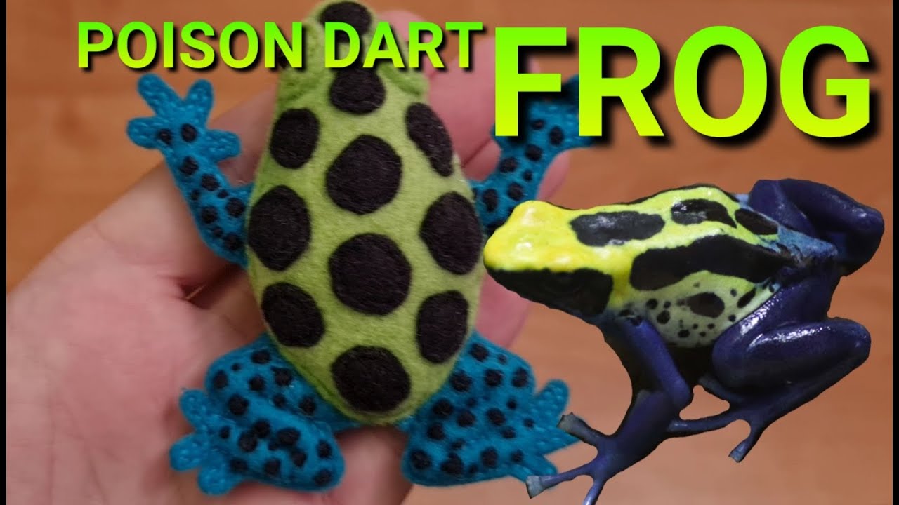 Handmade DART POISON FROG🐸 / Felt Jungle Animal Toy / Home Decor ...