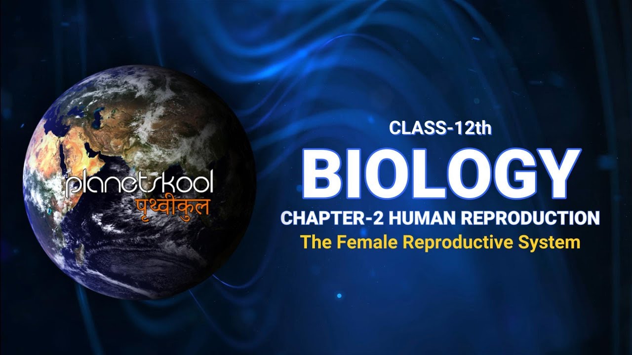 NCERT | Class-12th | Biology | Chapter-2 | Human Reproduction | Topic ...