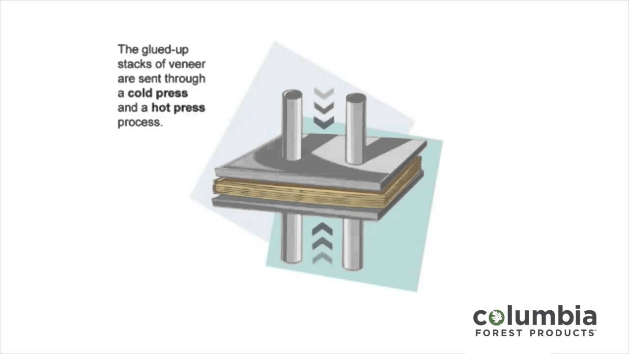Columbia Forest Products - PureBond Hardwood Plywood: How It's Made ...