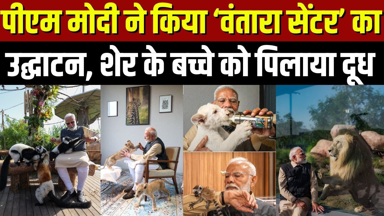 PM Modi Visit Vantara: PM ने किया ‘Vantara Wildlife Center’ का उद्घाटन ...