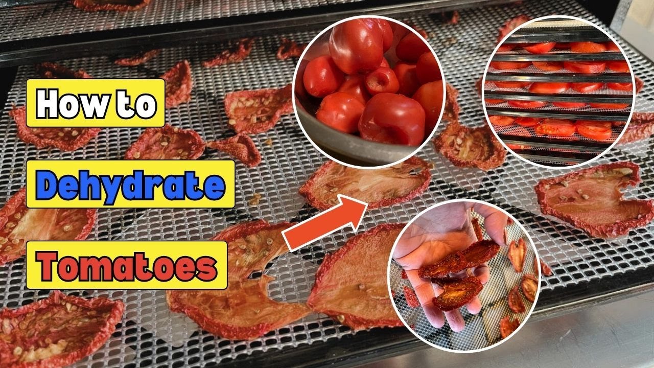 How to Dehydrate Tomatoes (Shelf Stable Storage, No Refrigeration ...