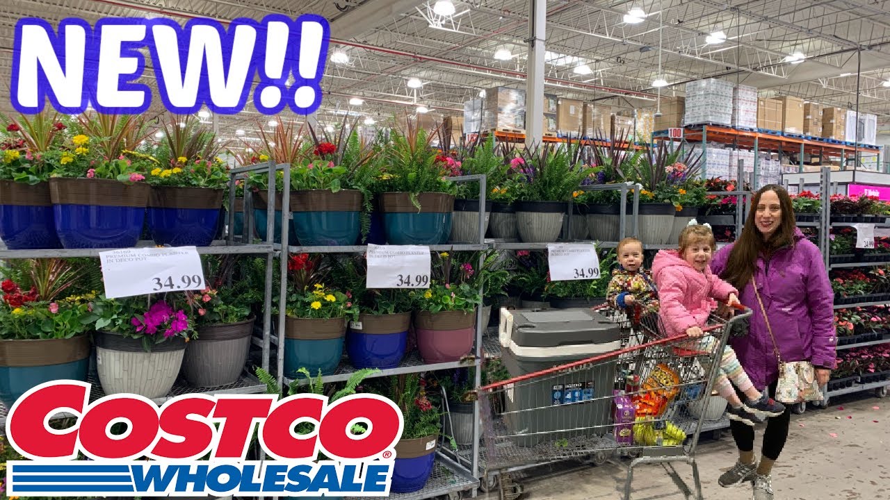 NEW!! WHAT'S NEW AT COSTCO MAY 2023 | New Items at Costco | Costco Shop ...