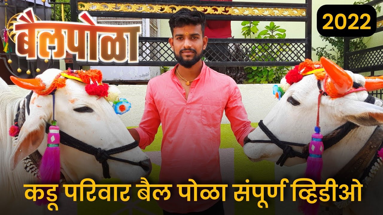 Bail pola sajawat 2022 | Bail pola 2022| बैलांची सजावट, बैल पोळा सजावट ...