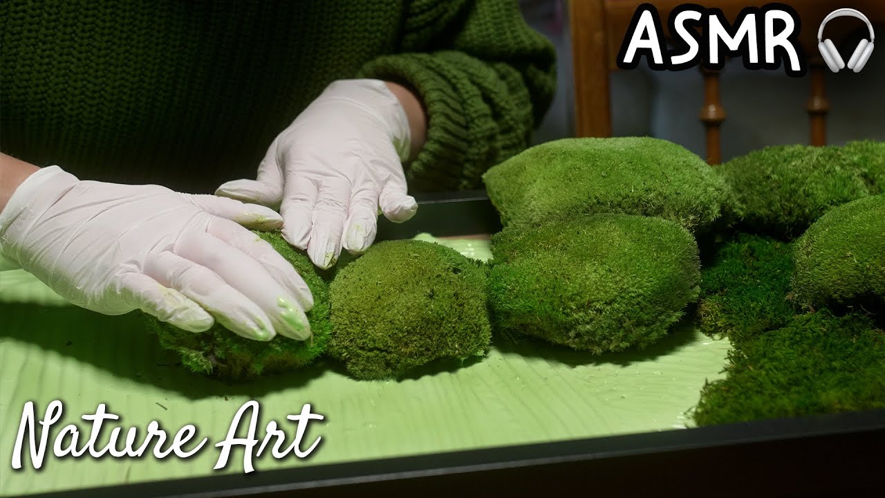 ASMR Watch Me.. Build a Moss Artwork🌳 No talking 🤫 Windy Cozy Night ...