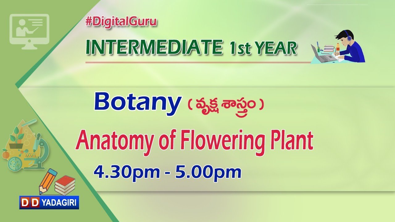 1st Inter Botany || Anatomy of flowering Plant || Intermediate ...