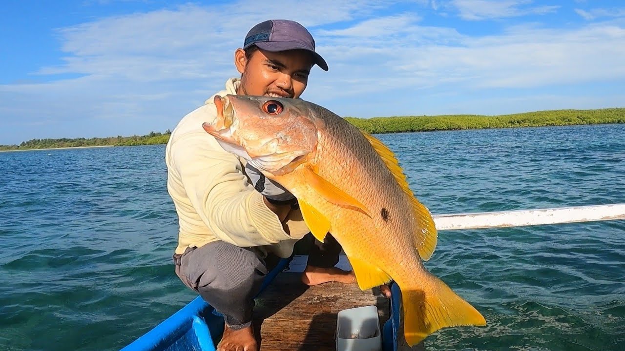 Nyasar ketemu kerumunan kakap tompel Umpan baru turun di sambar onespot ...