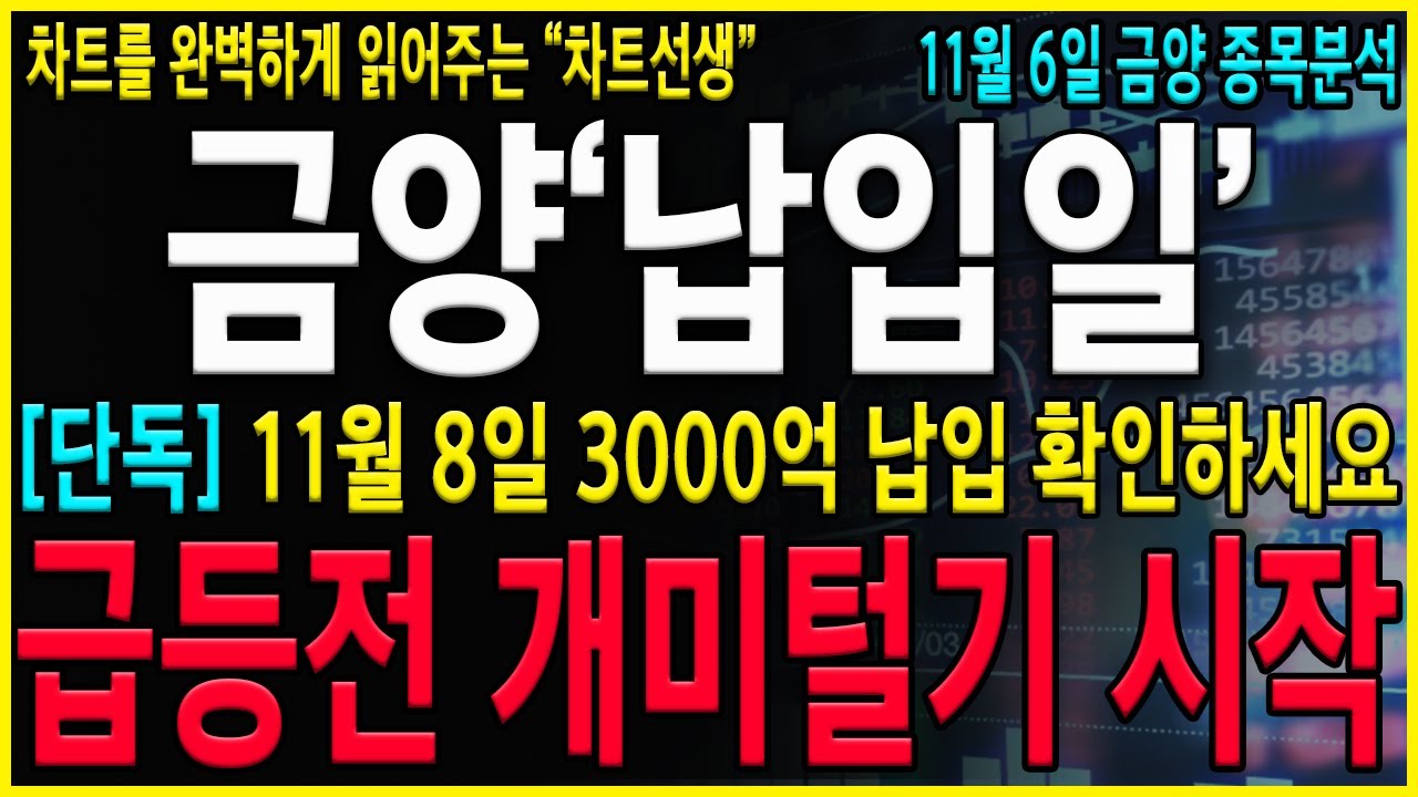 금양 주가 전망 긴급 숏스퀴즈 터지면 상한가 11월 8일 유상증자 납입일 반드시 확인하세요 개미털기에 절대로 당하시면 안됩니다 금양 금양주가전망 Youtube
